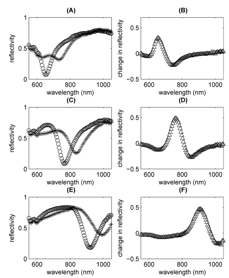 Dependence of the signal amplification potential of colloidal gold nanoparticles on resonance ...