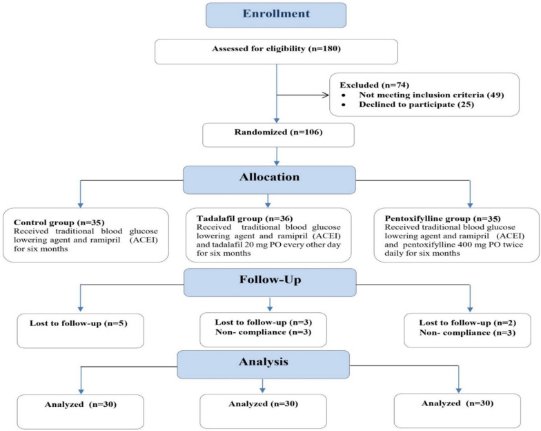 Tadalafil versus pentoxifylline in the management of diabetic kidney disease: a randomized ...