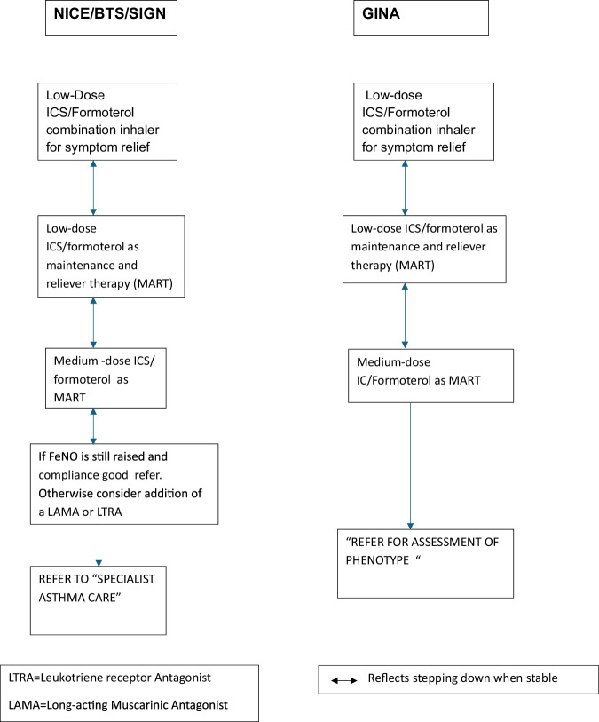 BTS/NICE/SIGN guideline for asthma 2024: Diagnosis, monitoring and chronic asthma management ...
