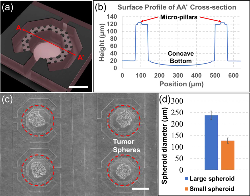 Scalable Multiplexed Drug-Combination Screening Platforms Using 3D Microtumor Model for ...
