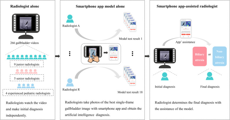 Interpretable artificial intelligence-based app assists inexperienced radiologists in diagnosing ...