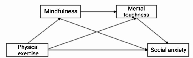 Analysing the effect of physical exercise on social anxiety in college students using a chained ...