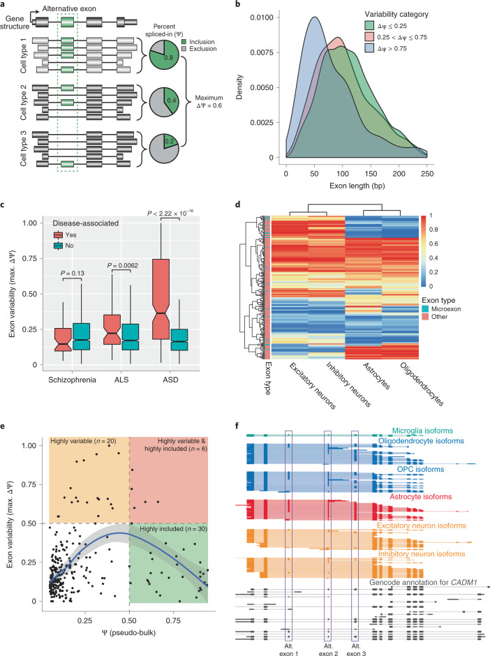 Single-nuclei isoform RNA sequencing unlocks barcoded exon connectivity in frozen brain tissue - PMC