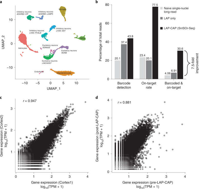 Single-nuclei isoform RNA sequencing unlocks barcoded exon connectivity in frozen brain tissue - PMC