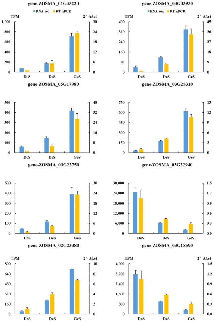 Combined Transcriptome And Proteome Analysis Reveal The Key