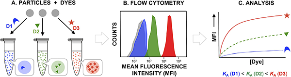Screening and Quantification of the Encapsulation of Dyes in Supramolecular Particles - PMC