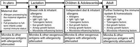 Antigenicity, Immunogenicity, Allergenicity - PMC