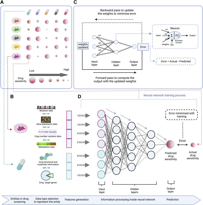 Opportunities and challenges in interpretable deep learning for drug sensitivity prediction of ...