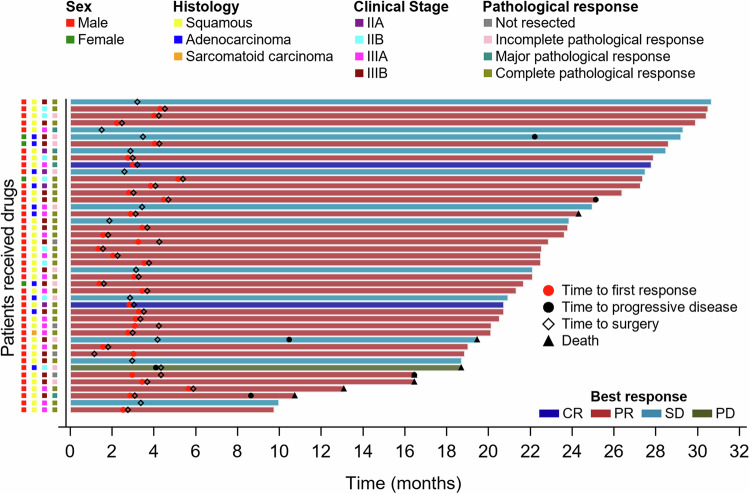 Perioperative Sintilimab And Neoadjuvant Anlotinib Plus Chemotherapy For Resectable Non Small