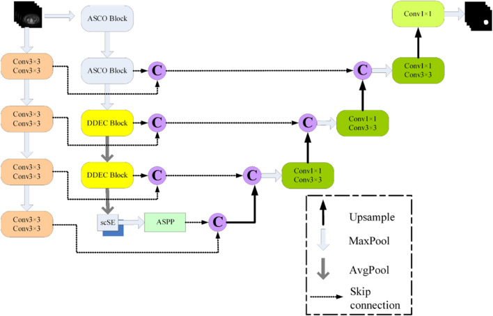 ASD-Net: a novel U-Net based asymmetric spatial-channel convolution network for precise kidney ...