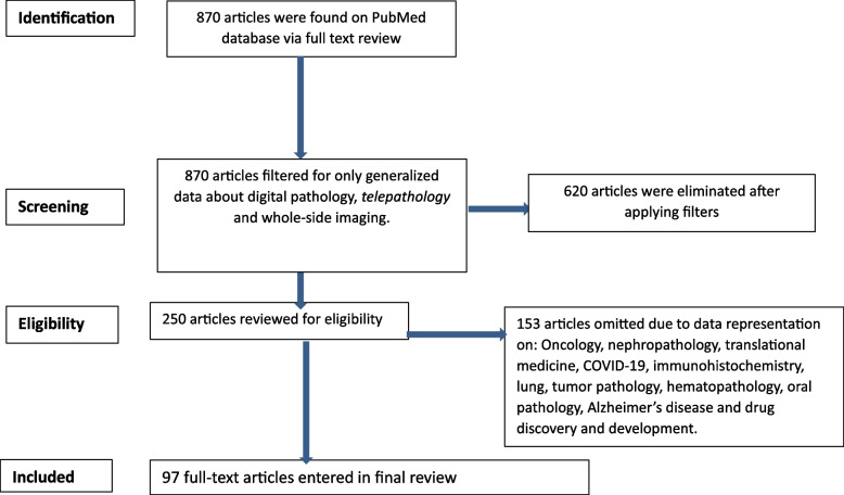 An update on applications of digital pathology: primary diagnosis ...