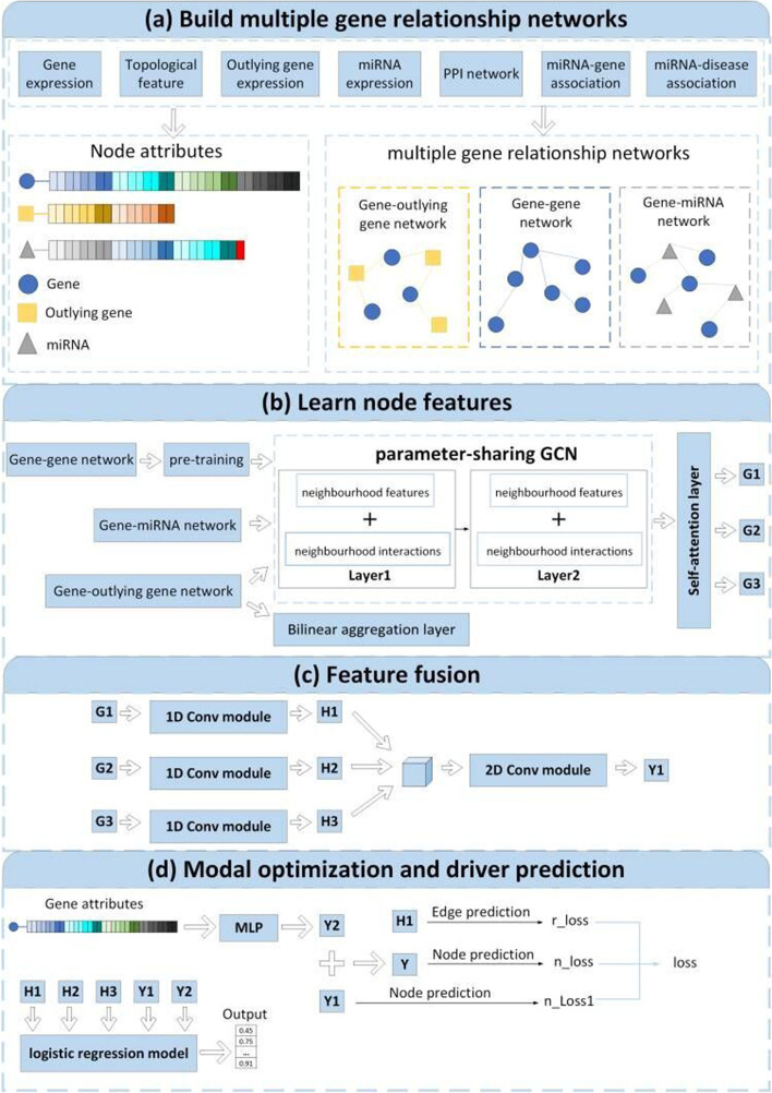 Identifying cancer driver genes based on multi-view heterogeneous graph convolutional network ...