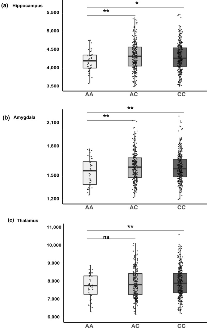 SCN1A overexpression, associated with a genomic region marked by a risk variant for a common ...