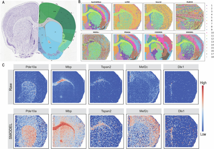 Unveiling spatial domains from spatial multi-omics data using dual-graph regularized ensemble ...