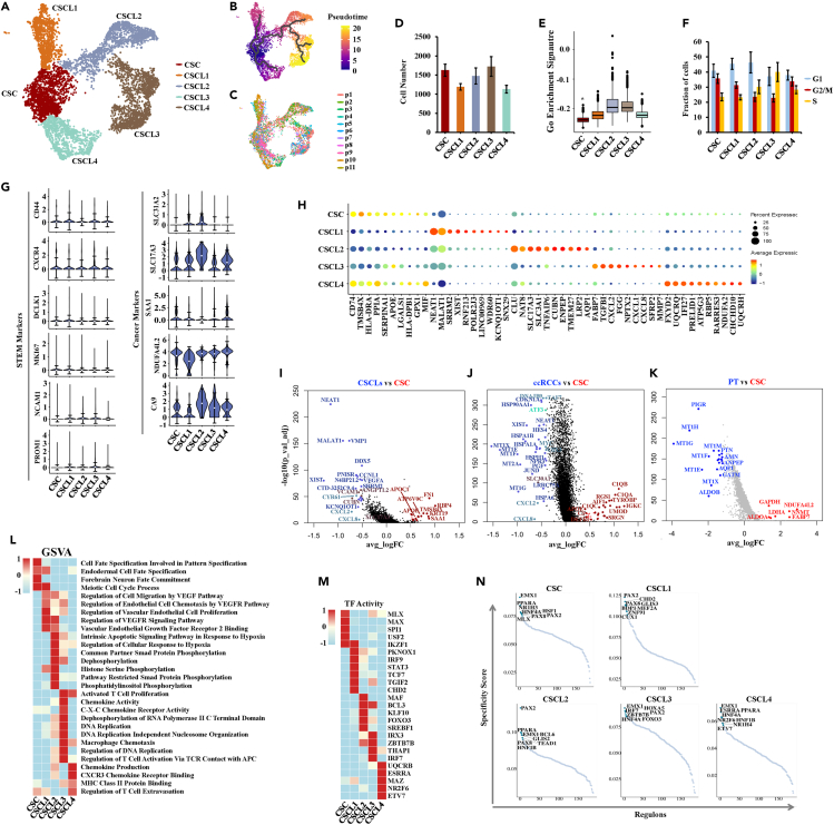 Molecular subtyping and characterization of clear cell renal cell ... Molecular subtyping and characterization of clear cell renal cell ...