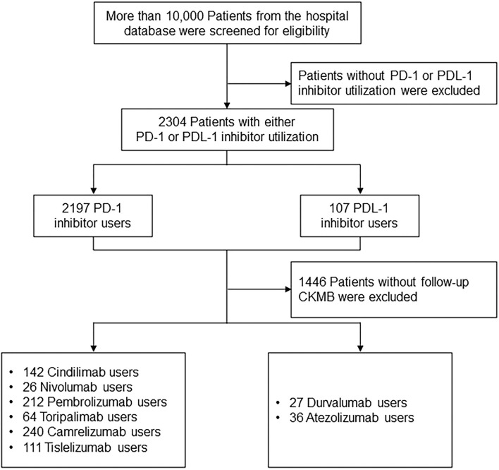 Cardiotoxicity Related To Immune Checkpoint Inhibitors A Real World