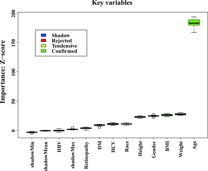 Explainable machine learning model for predicting the risk of significant liver fibrosis in ...