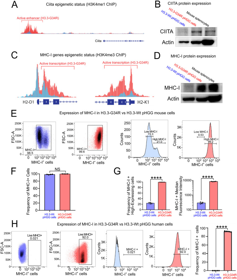 H3.3-G34R Mutation-Mediated Epigenetic Reprogramming Leads to Enhanced Efficacy of Immune ...