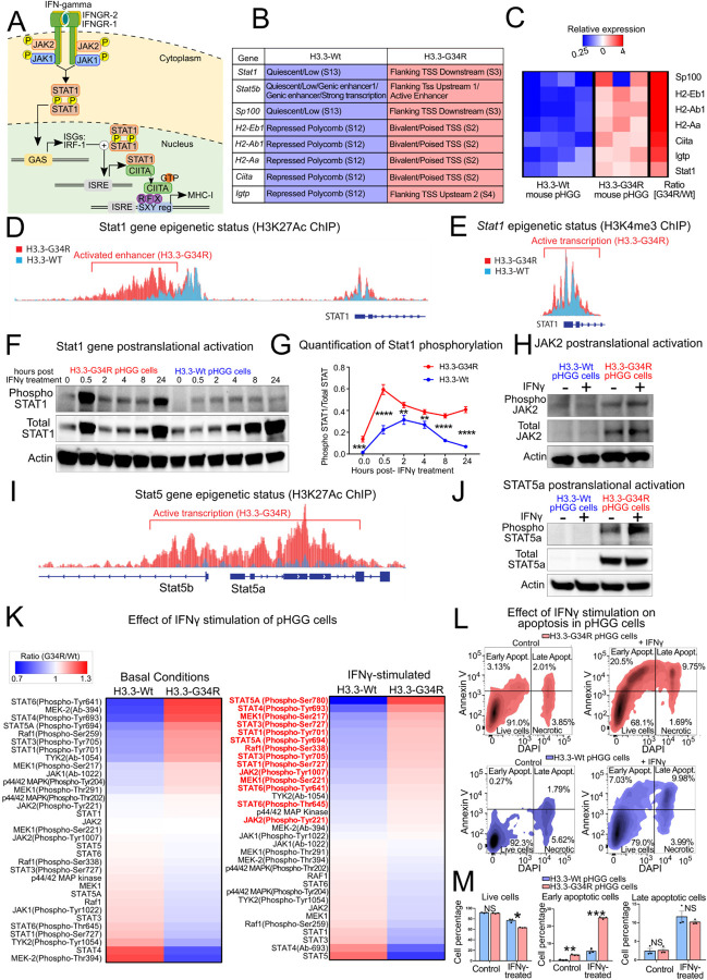 H3.3-G34R Mutation-Mediated Epigenetic Reprogramming Leads to Enhanced Efficacy of Immune ...