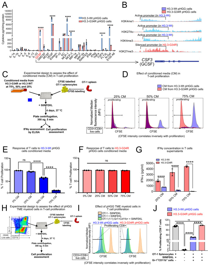 H3.3-G34R Mutation-Mediated Epigenetic Reprogramming Leads to Enhanced Efficacy of Immune ...