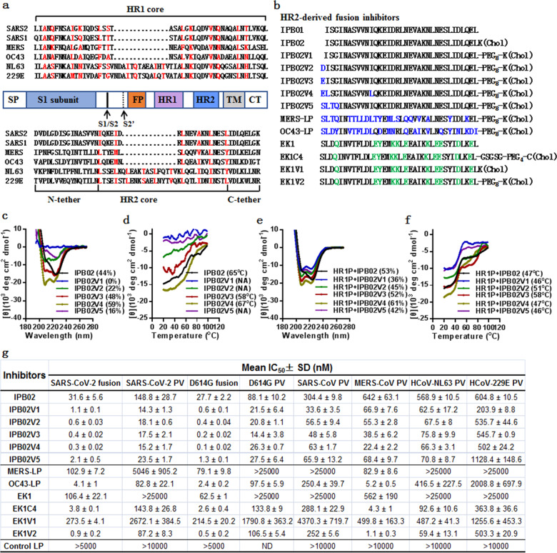 SARS-CoV-2-derived fusion inhibitor lipopeptides exhibit highly potent and broad-spectrum ...