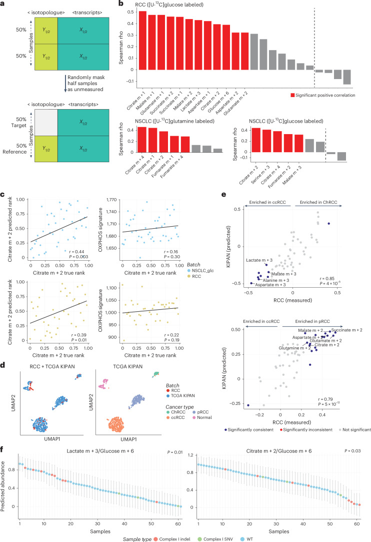 UnitedMet harnesses RNA–metabolite covariation to impute metabolite levels in clinical samples - PMC