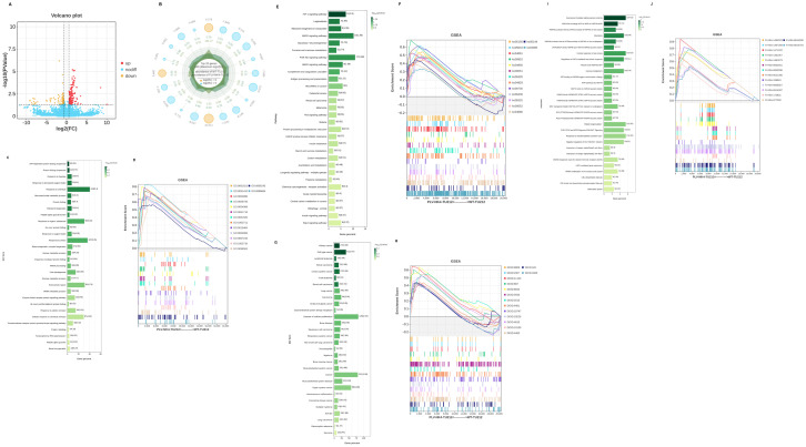 Overexpression of NK4 gene in TU212 affects migratory activity in ...