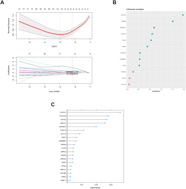 Integrating machine learning and single-cell transcriptomic analysis to identify potential ...