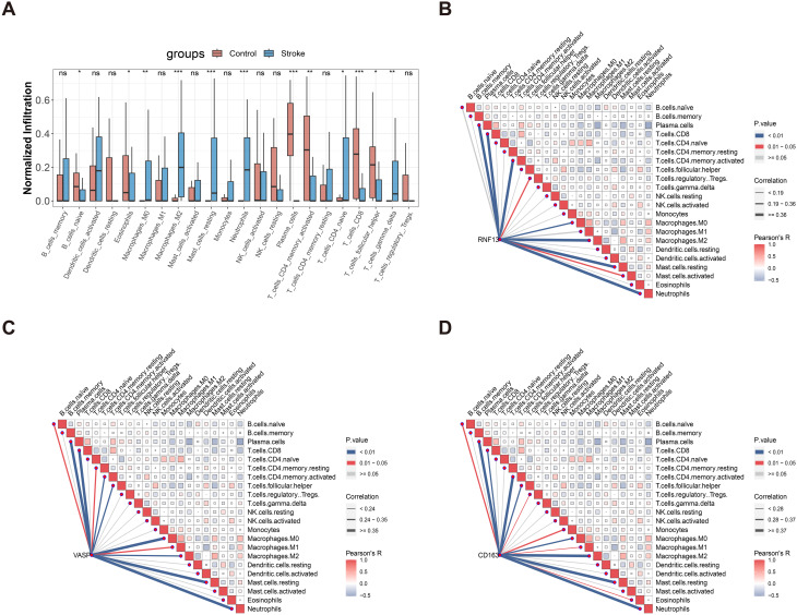 Integrating machine learning and single-cell transcriptomic analysis to identify potential ...