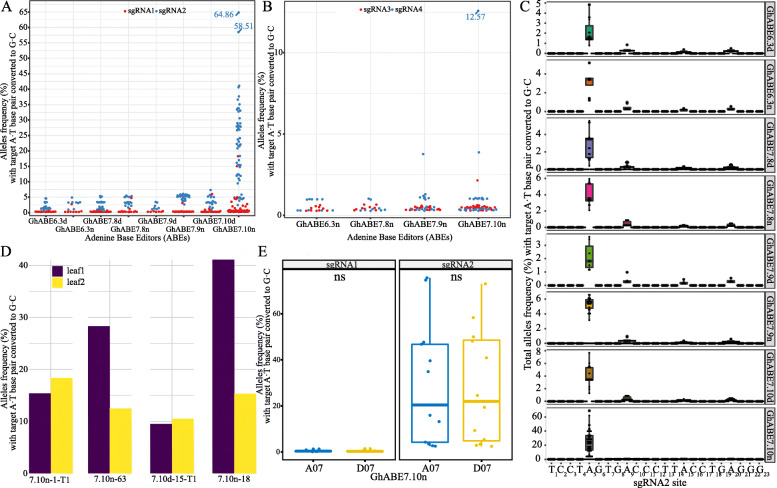 Development of an efficient and precise adenine base editor (ABE) with expanded target range in ...