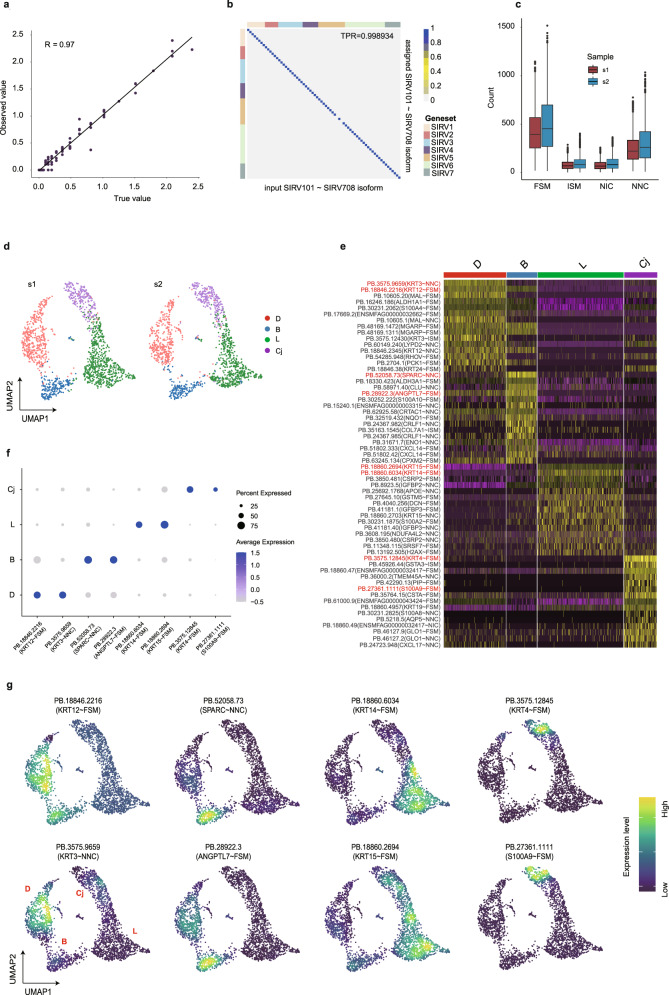 High-throughput and high-accuracy single-cell RNA isoform analysis using PacBio circular ...