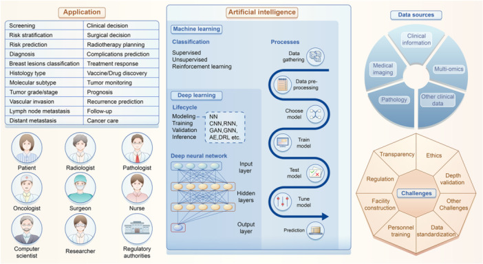Artificial Intelligence and Breast Cancer Management: From Data to the ...