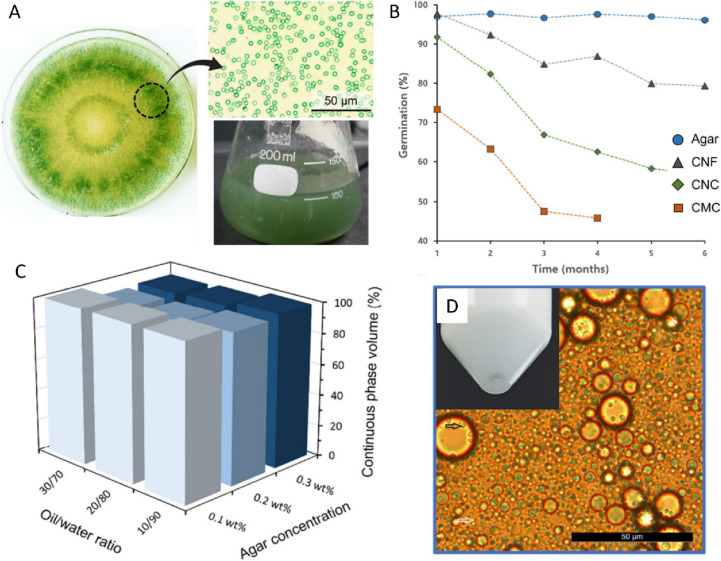 Biotechnological development of Trichoderma-based formulations for biological control - PMC