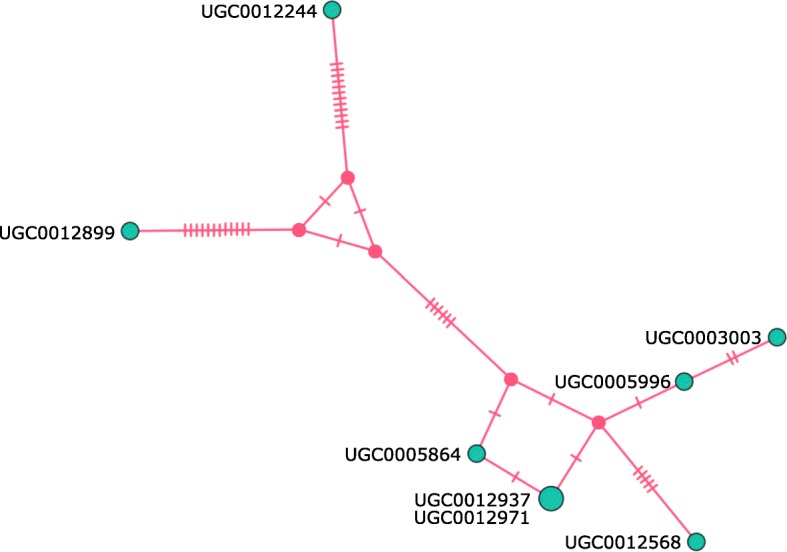 Fig. 7
