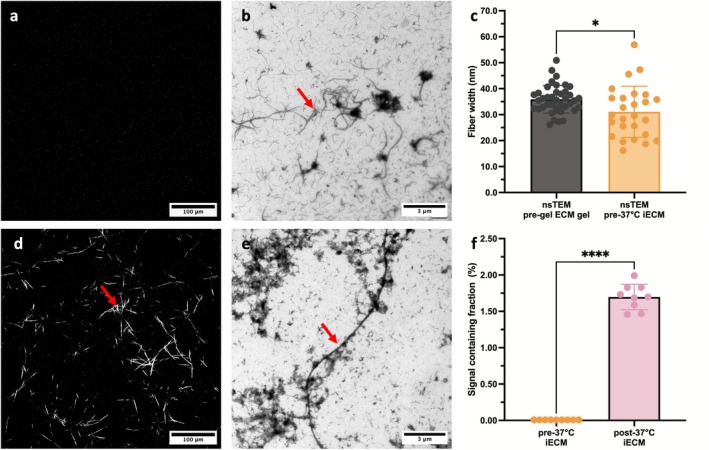 Elucidating Mechanisms Of Gelation, Fiber Assembly, And Stability Of 