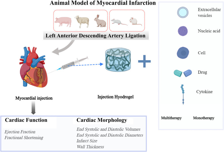 Injectable hydrogel-based combination therapy for myocardial infarction: a systematic review and ...