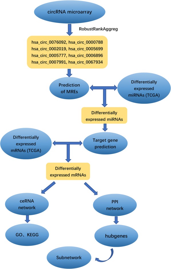 Identification of circRNA–miRNA–mRNA regulatory network in gastric cancer by analysis of ...