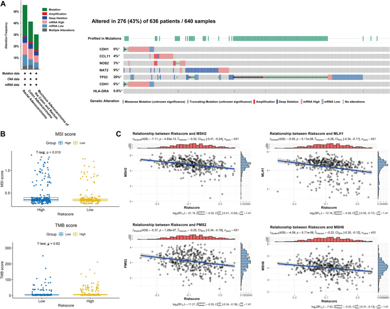 Prognostic and tumor immunity implication of inflammatory bowel disease-associated genes in ...