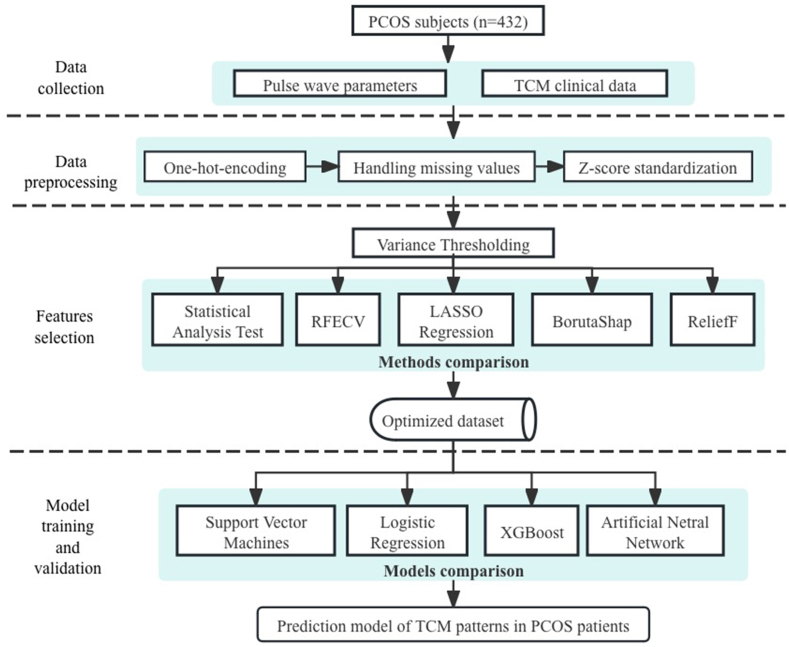 Predicting TCM patterns in PCOS patients: An exploration of feature ...