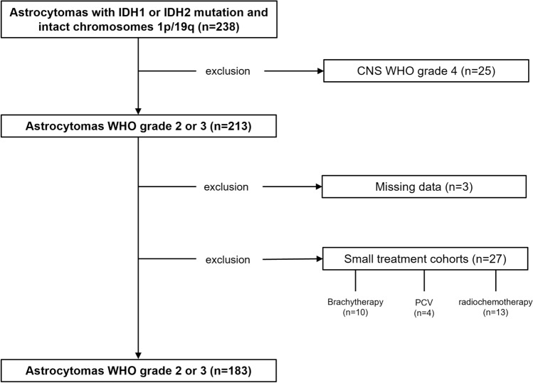 Limited efficacy of temozolomide alone for astrocytoma, IDH-mutant, CNS WHO grades 2 or 3 - PMC