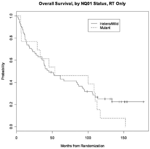 The NQO1*2/*2 polymorphism is associated with poor overall survival in patients following ...