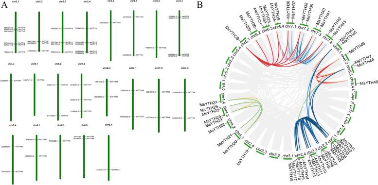 Genome-wide identification, characterization, and expression analysis of m6A readers-YTH domain ...