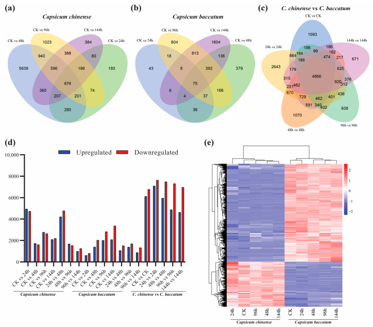 Transcriptomic Insights into Salt Stress Response in Two Pepper Species: The Role of MAPK and ...