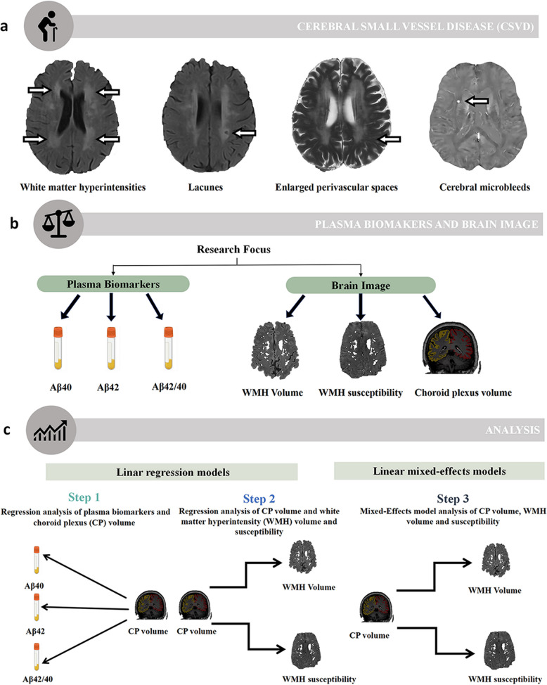 Associations of choroid plexus volume with white matter hyperintensity volume and susceptibility ...