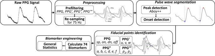 pyPPG: a Python toolbox for comprehensive photoplethysmography signal ...
