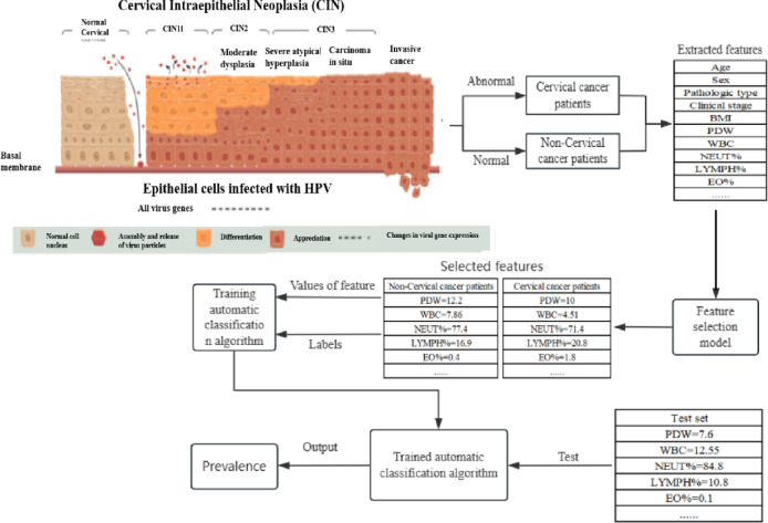 Cervical cancer prediction using machine learning models based on ...