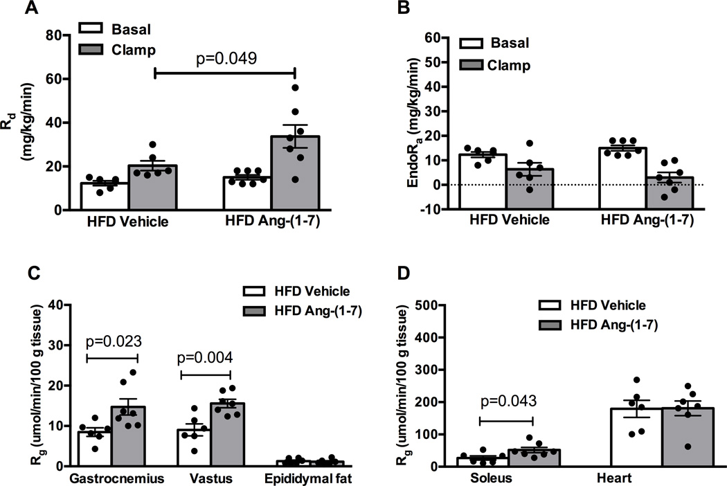 CHRONIC ANGIOTENSIN-(1–7) IMPROVES INSULIN SENSITIVITY IN HIGH-FAT FED ...