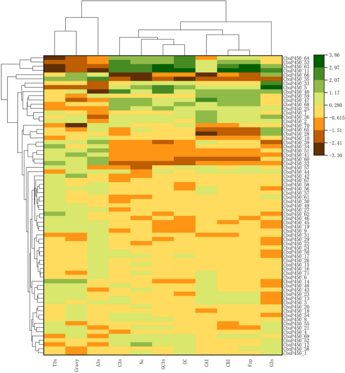 Genome-wide identification, molecular evolution and gene expression of P450 gene family in ...