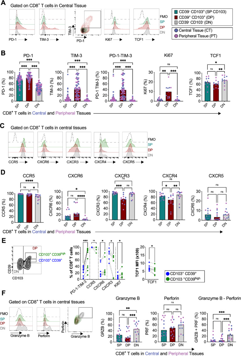 Exhausted Tumor-infiltrating CD39+CD103+ CD8+ T Cells Unveil Potential for Increased Survival in ...
