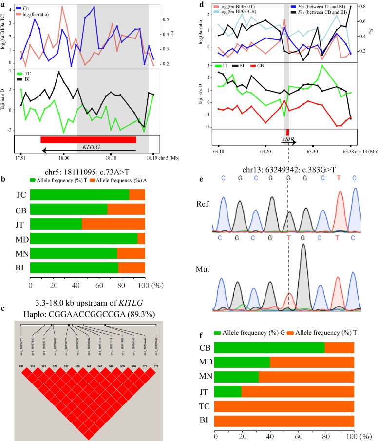 Comparative genome analyses reveal the unique genetic composition and selection signals ...